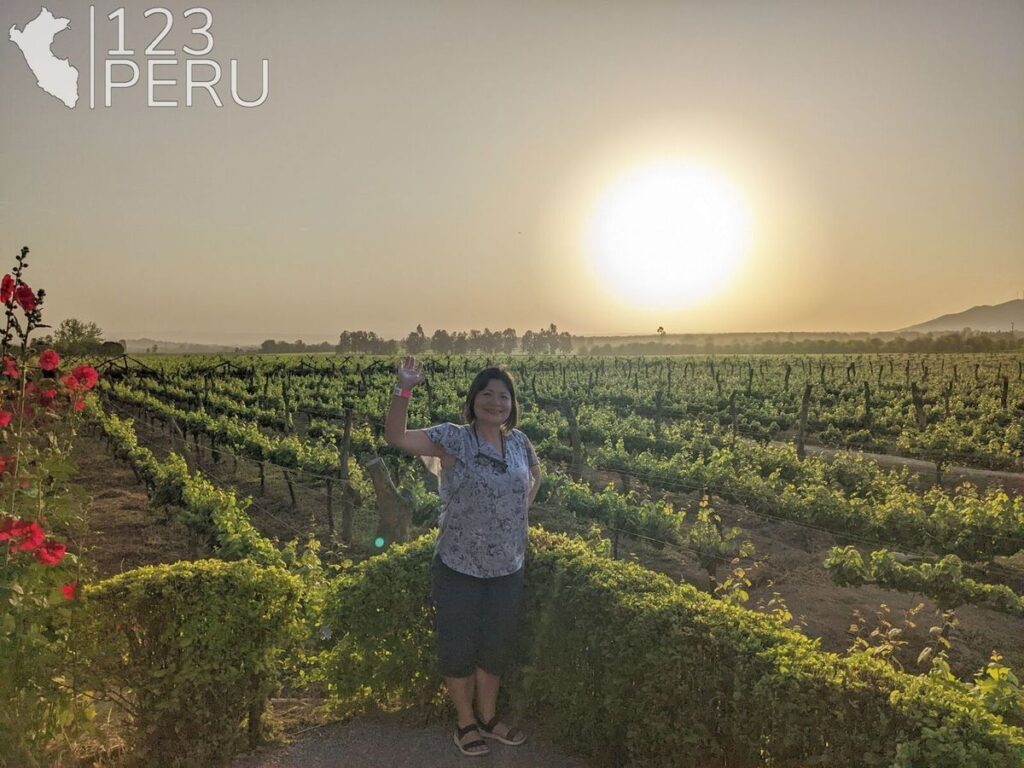 Visitar las Bodegas y Viñedos: Enoturismo en Ica - 123 Peru