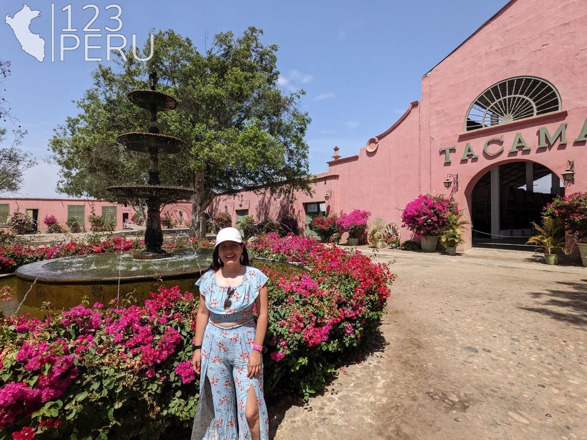 Visitar las Bodegas y Viñedos: Enoturismo en Ica - 123 Peru