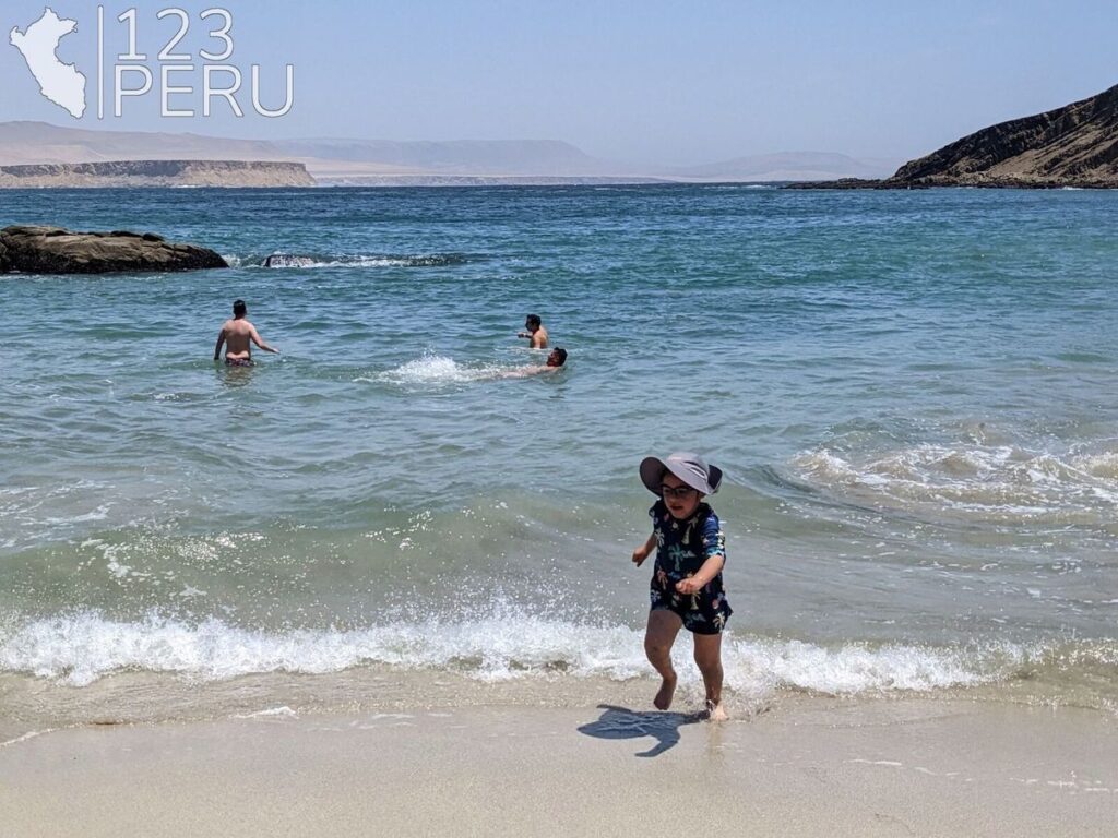 Reserva Nacional de Paracas - 123 Peru